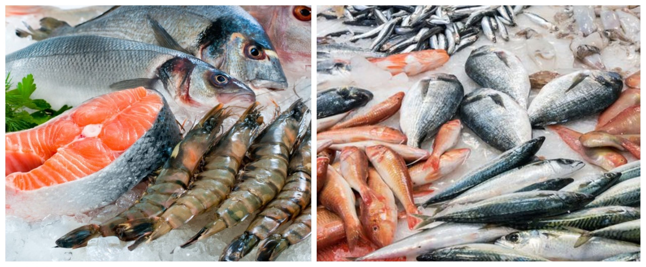 أفضل أنواع الأسماك لصحتك