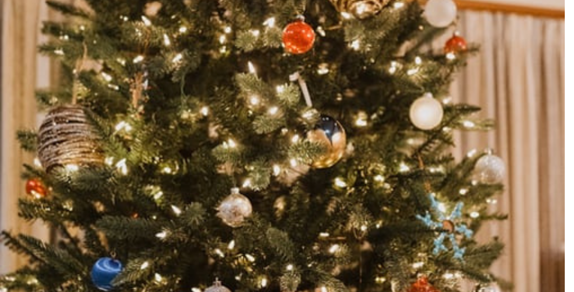 أفضل صور شجر يمكن أن تشاهدها عبر الإنترنت | ويكي مصر