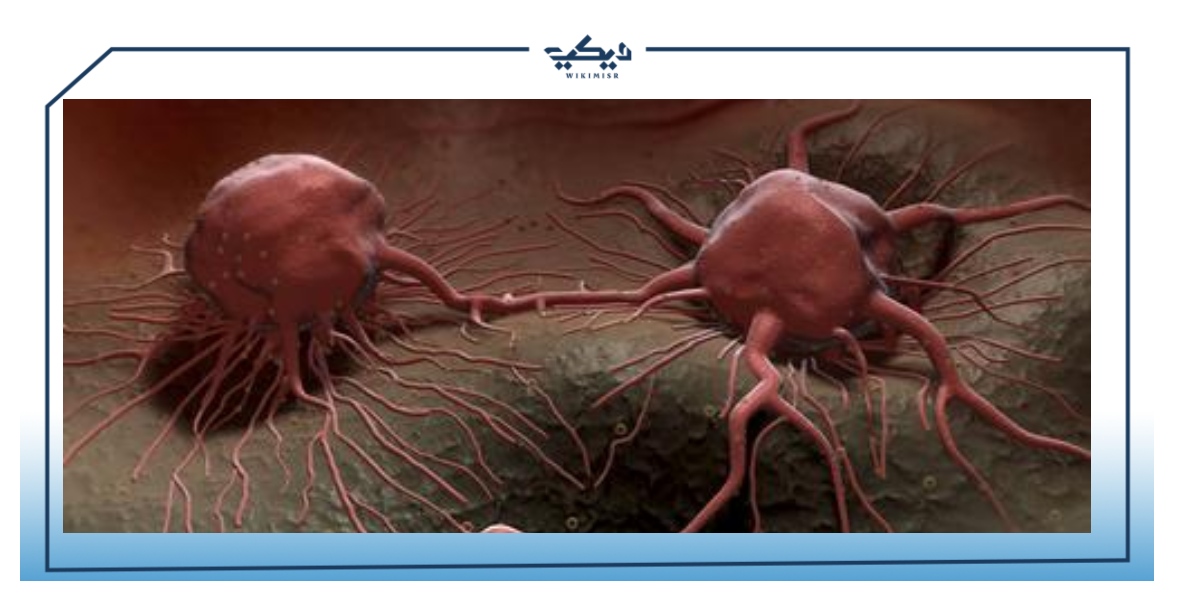 دواعي استعمال floxam 500 الاعراض الجانبية طريقة الاستخدام | ويكي مصر