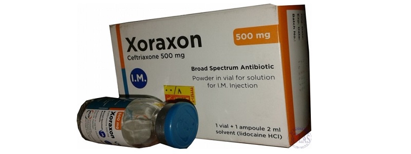 سعر ومواصفات حقن XORAXON لعلاج العدوى | ويكي مصر