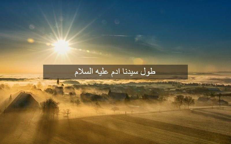 طول سيدنا ادم وهل خلقت حواء من ضلعه حقًا؟! | ويكي مصر