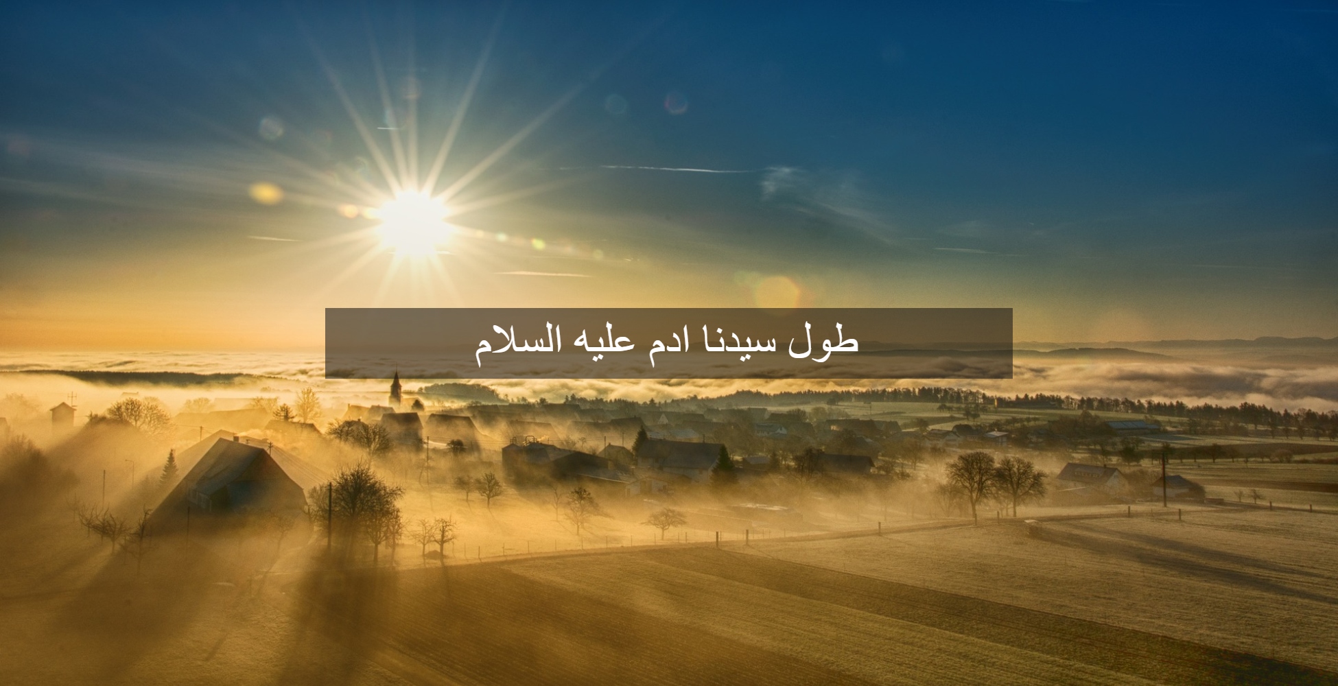 طول سيدنا ادم وهل خلقت حواء من ضلعه حقًا؟! | ويكي مصر